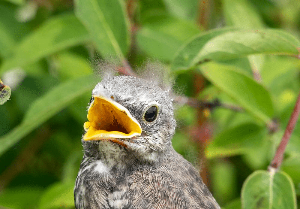 Why Mocking Others Hinders Career Success - Baltimore | Stoic Matchmaker